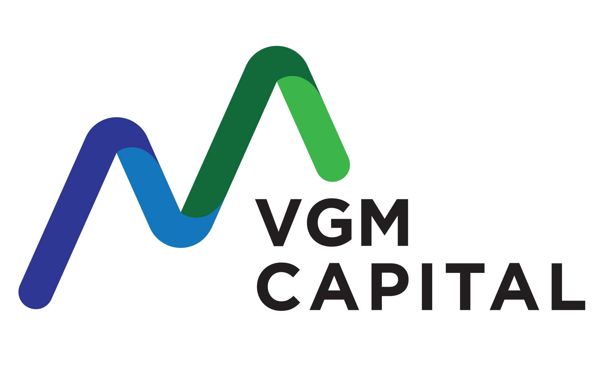 VGM Capital Limited - CJPAC